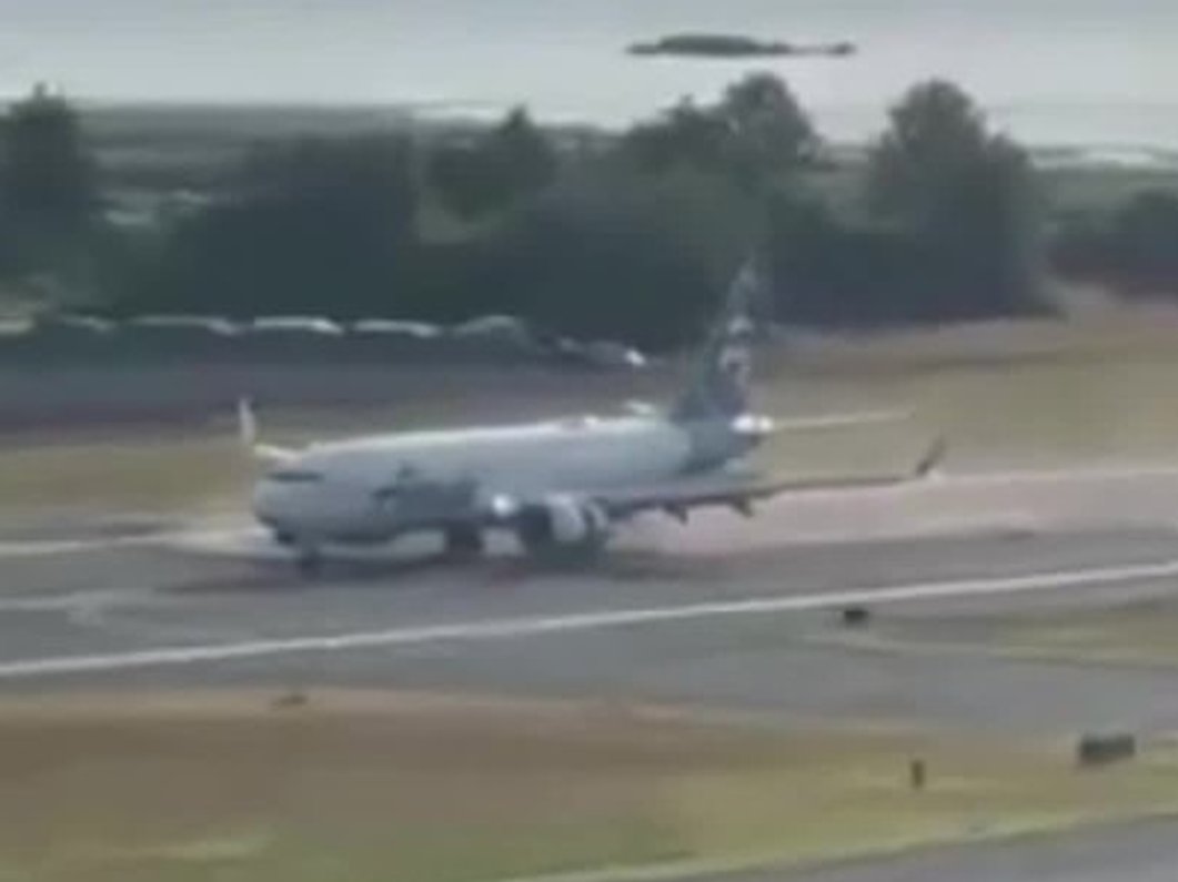 During landing: Plane runs over animals on the runway