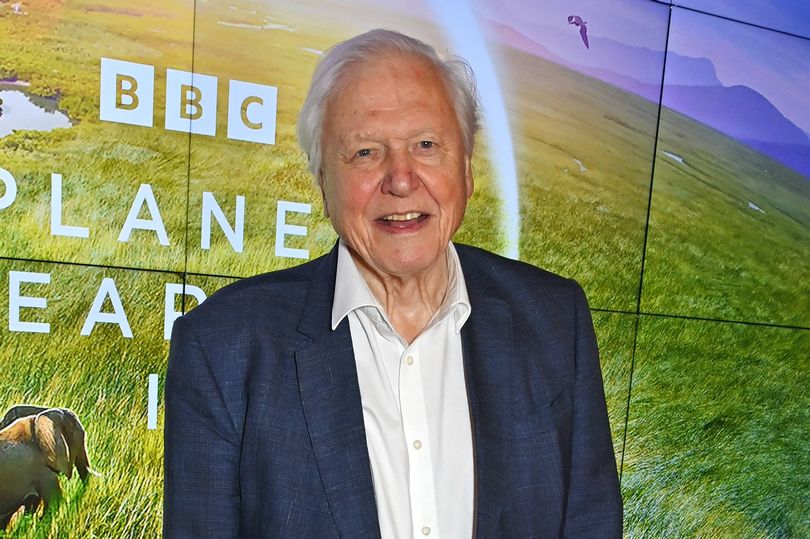 Sir David Attenborough set for new 'high stakes' BBC documentary as air ...