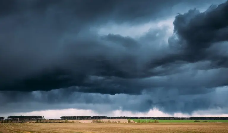 Chennai Weather: Heavy To Very Rainfall Is Predicted In These Regions Of Tamil Nadu; IMD Issues ...