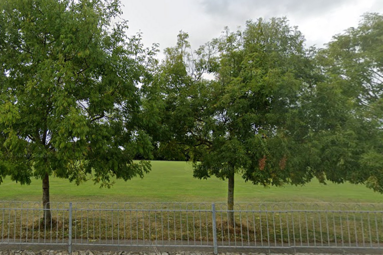 Baby boy hospitalised following alleged Dublin park attack