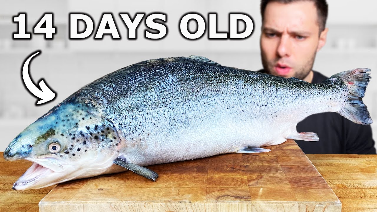 DRY AGED Salmon and the SECRET to Crispy Salmon Skin