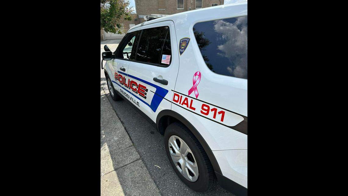 Animal escaping heat slips into squad car, assaults NC cop. See the odd ...