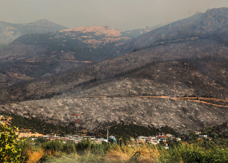 Two volunteer firefighters die amid wildfires in Turkey