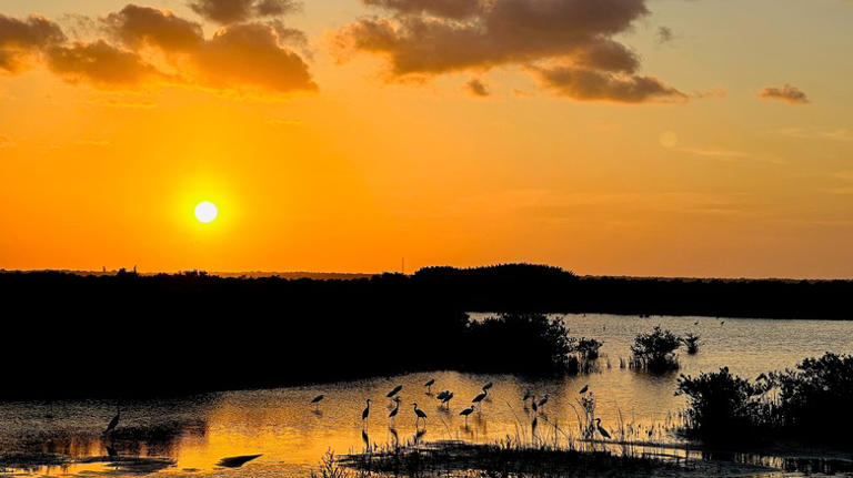 Florida's 5 Best Breathtaking Beaches That Are Less Crowded Than Panama ...