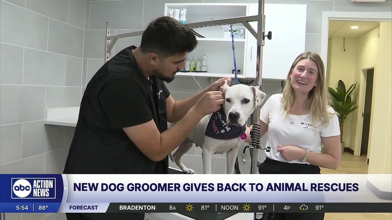 New dog groomer gives back to shelters in need