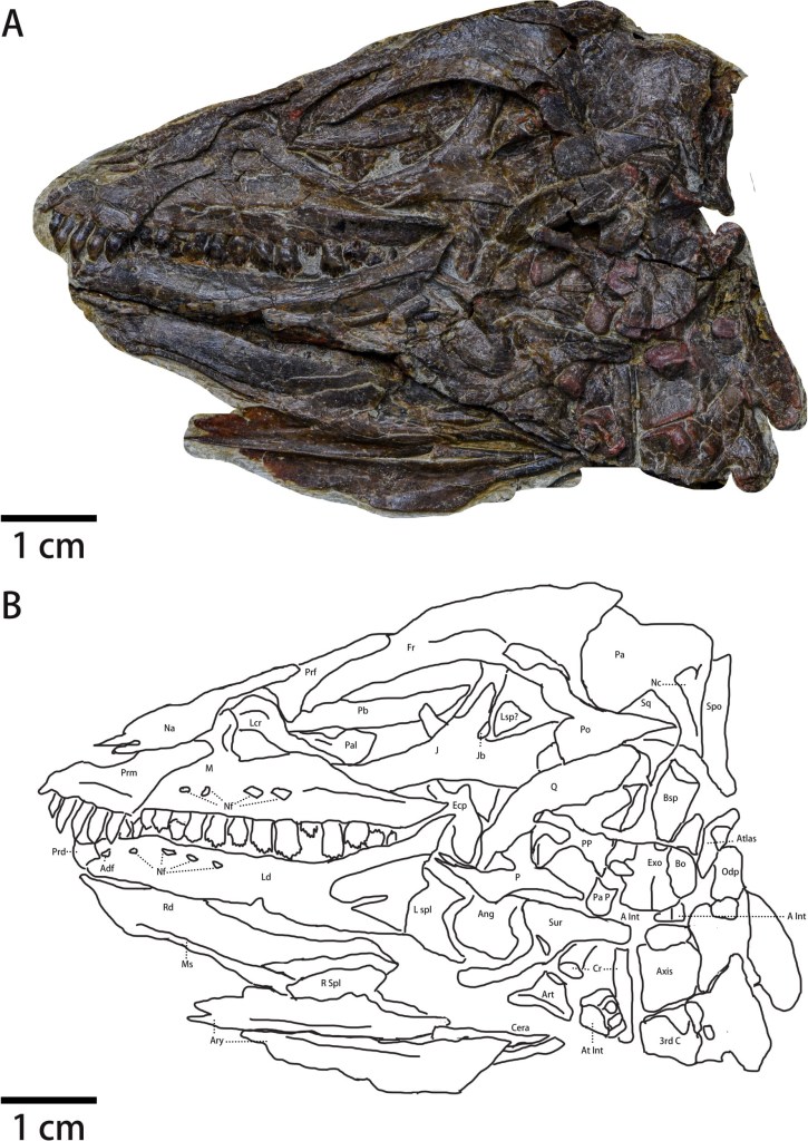 Dinosaur voice box fossil reveals what they sounded like – 150,000,000 ...