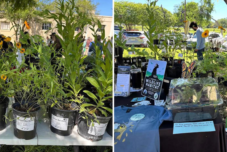 The guerilla campaign to save a Texas prairie from "silent extinction"