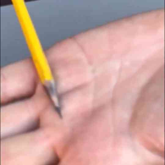 9 Unique Pencil Sharpeners In My Collection