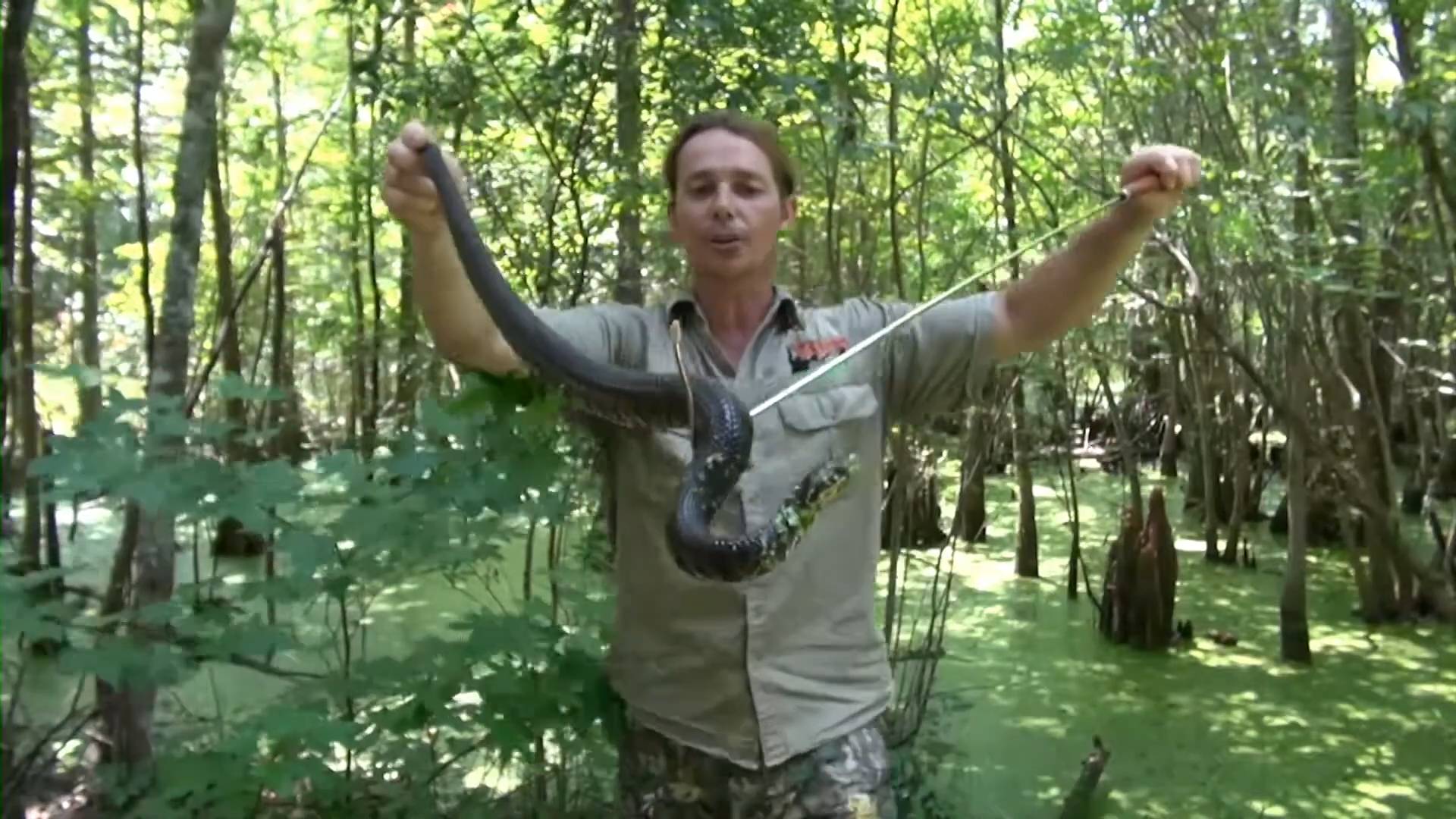 Top 10 Dangerous Animals in the World | Man kisses cobra snake