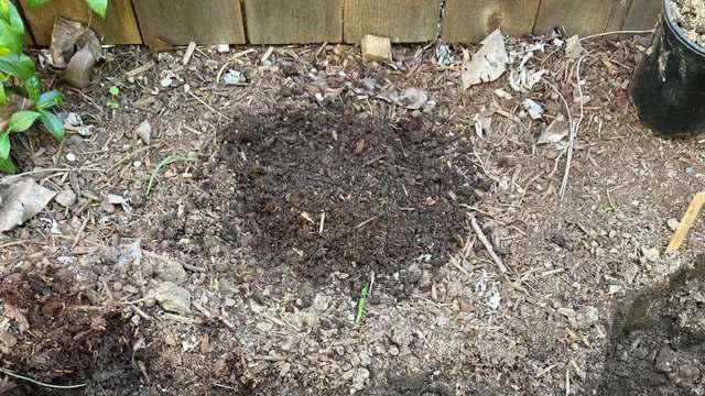 Homeowner discovers mysterious object while digging in backyard: 'What ...