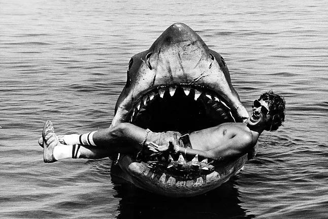 Shark, 50 years of the movie that scared us from swimming in the sea