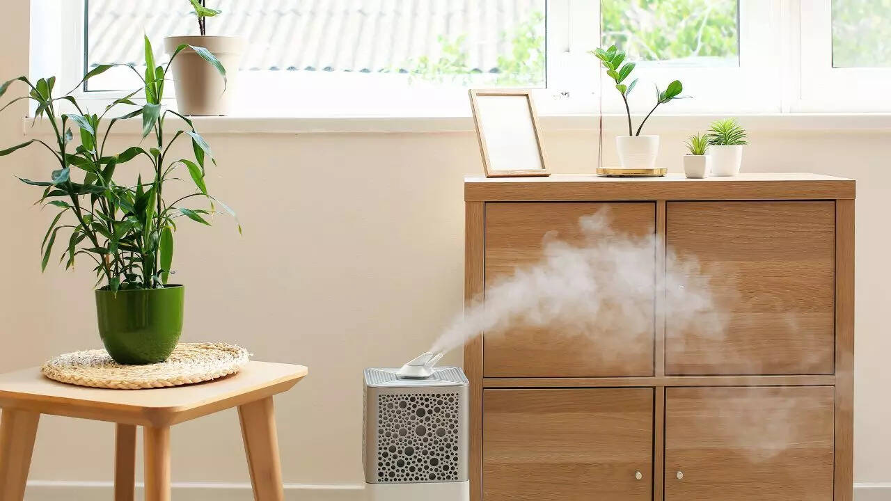 How a humidifier can improve your health, sleep, and home environment ...