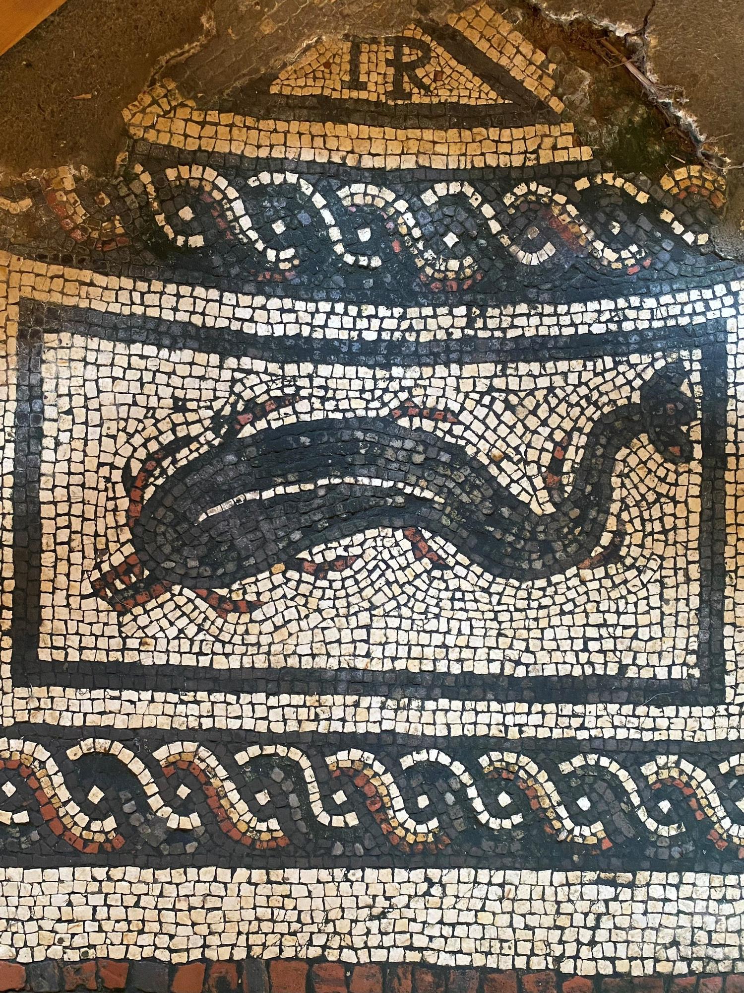 Sussex Heritage: A postcard from Bignor Roman Villa