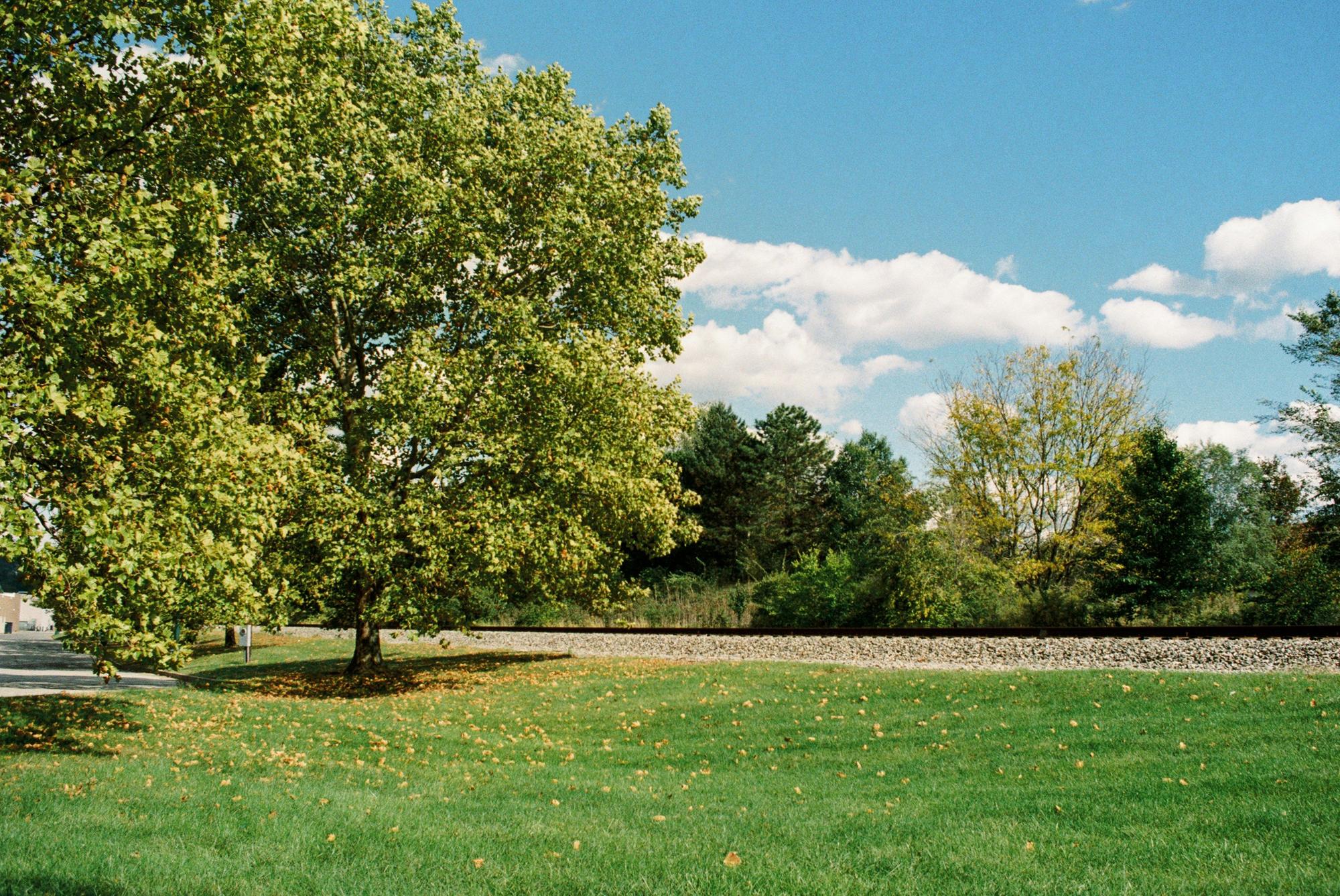 London is the least green city in the UK new research shows