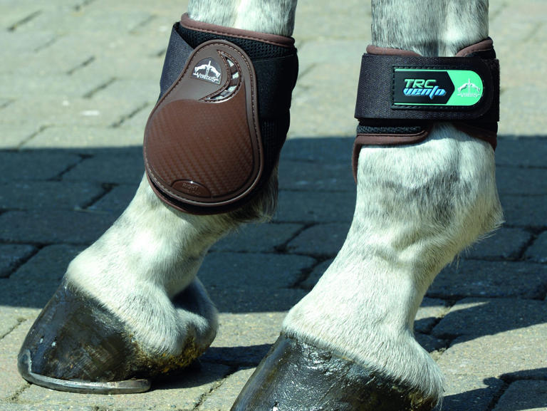 Useful info to help you choose the most suitable boots to protect a ...