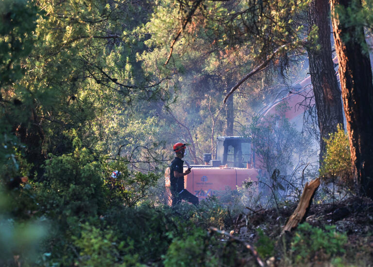 Two volunteer firefighters die amid wildfires in Turkey