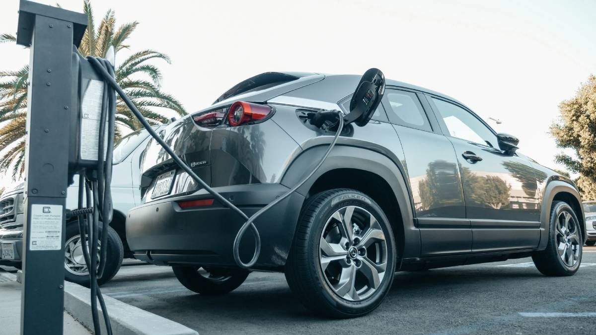 Autos eléctricos e híbridos sin aranceles: los 33 modelos que entrarán ...