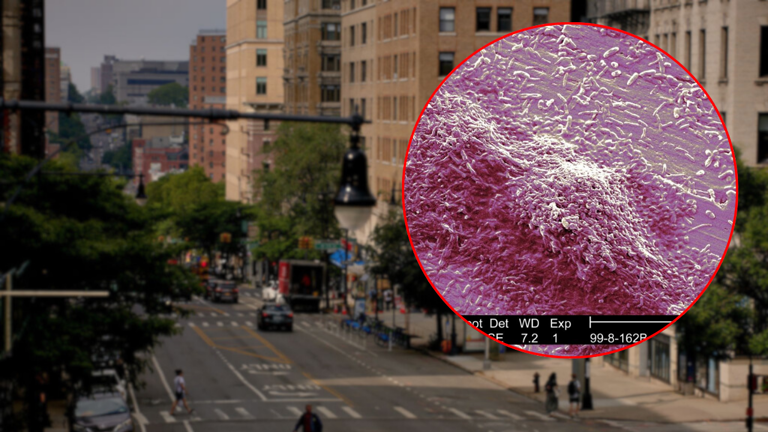 Cluster of Legionnaires' disease cases found in Harlem, health ...