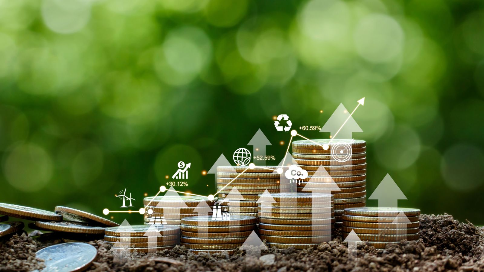 19 Canadian Policies Other Countries Are Copying