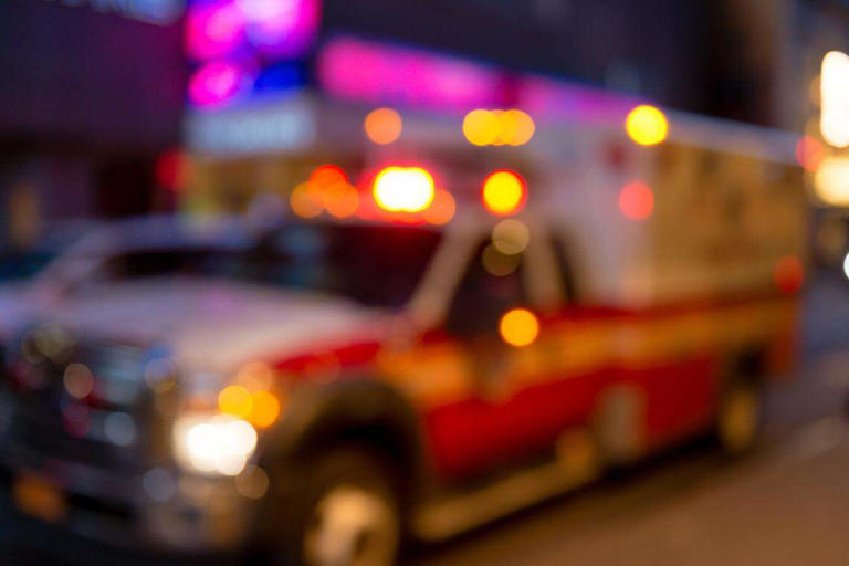 Driver of Harley-Davidson motorcycle killed in Horry County crash, SCHP ...