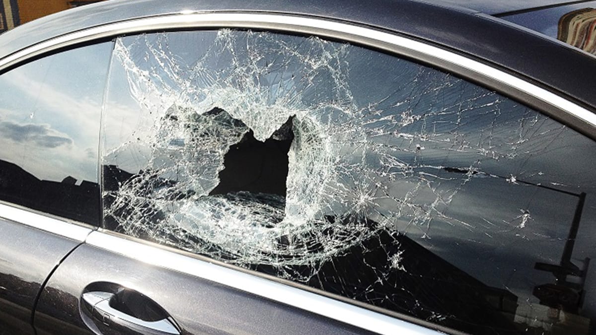 Pitbull dies in boiling car in casino car park: owner's reaction shocks ...