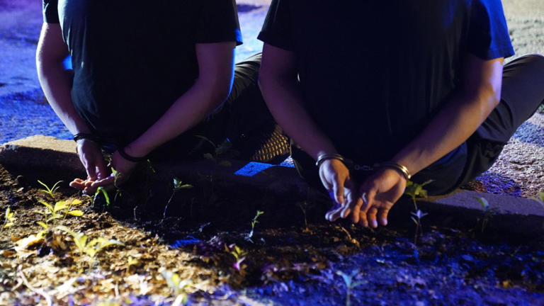 17 arrested in latest Kansas City street racing, sideshow crackdown