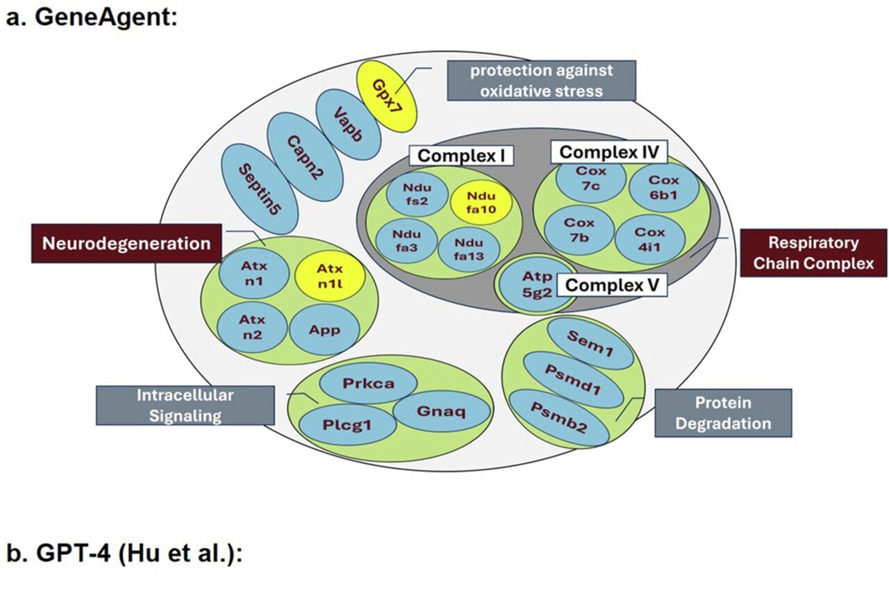 AI agent improves accuracy of gene set analysis by leveraging expert ...