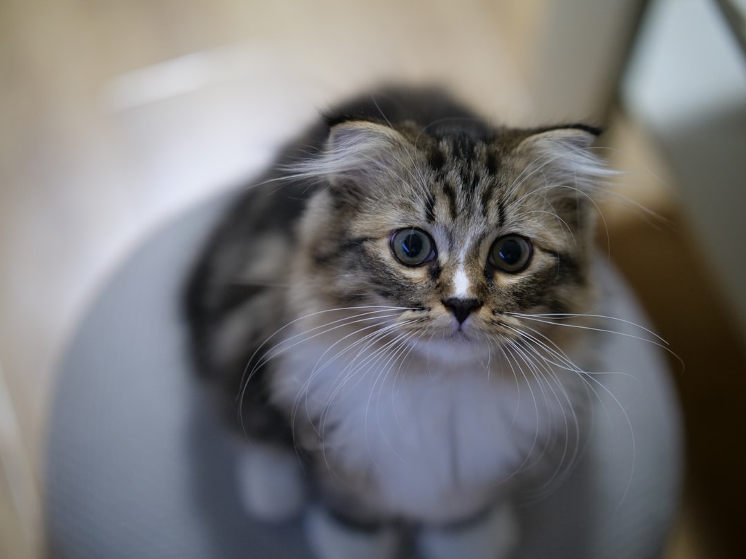 12 Common Household Items You Should Never Flush, Dump, or Rinse—But ...