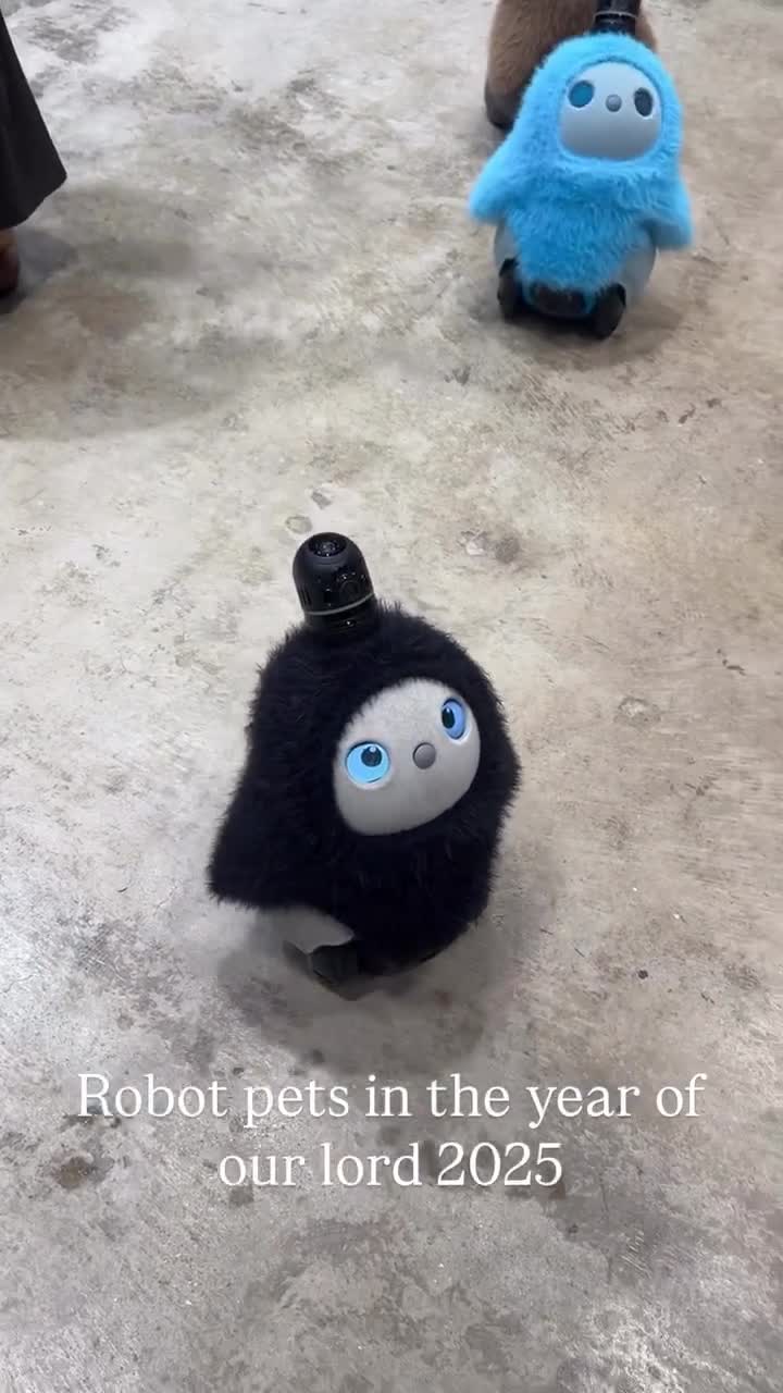 Meet Robot Pets With Us!