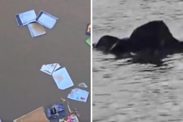 Investigation launched after viral video shows rubbish dumped into ...