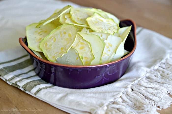 100 Different Zucchini Recipes from Breads to Main Dishes