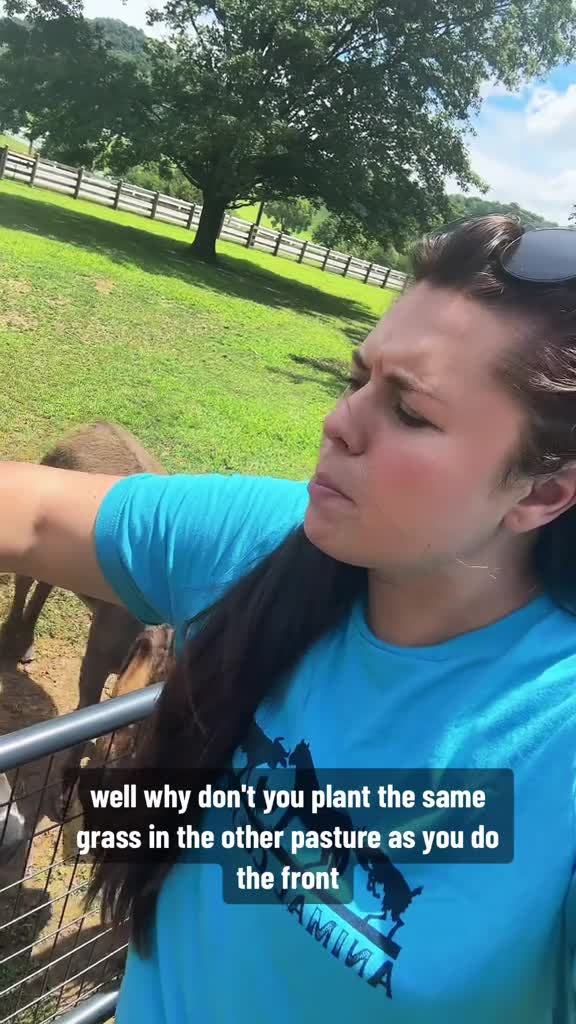Why My Donkeys and Goats Always Want to Swap Pastures