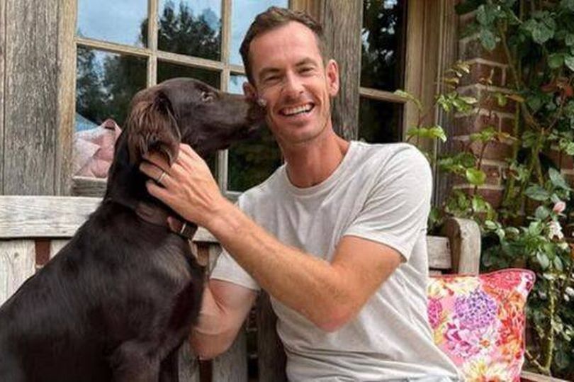 Andy Murray announces 'new addition to the family' after tragic loss