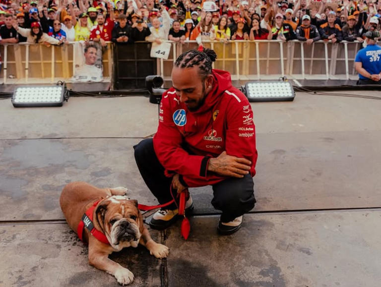 Did Lewis Hamilton's P18-to-P7 Belgian GP Fightback Prove He's Still F1 ...