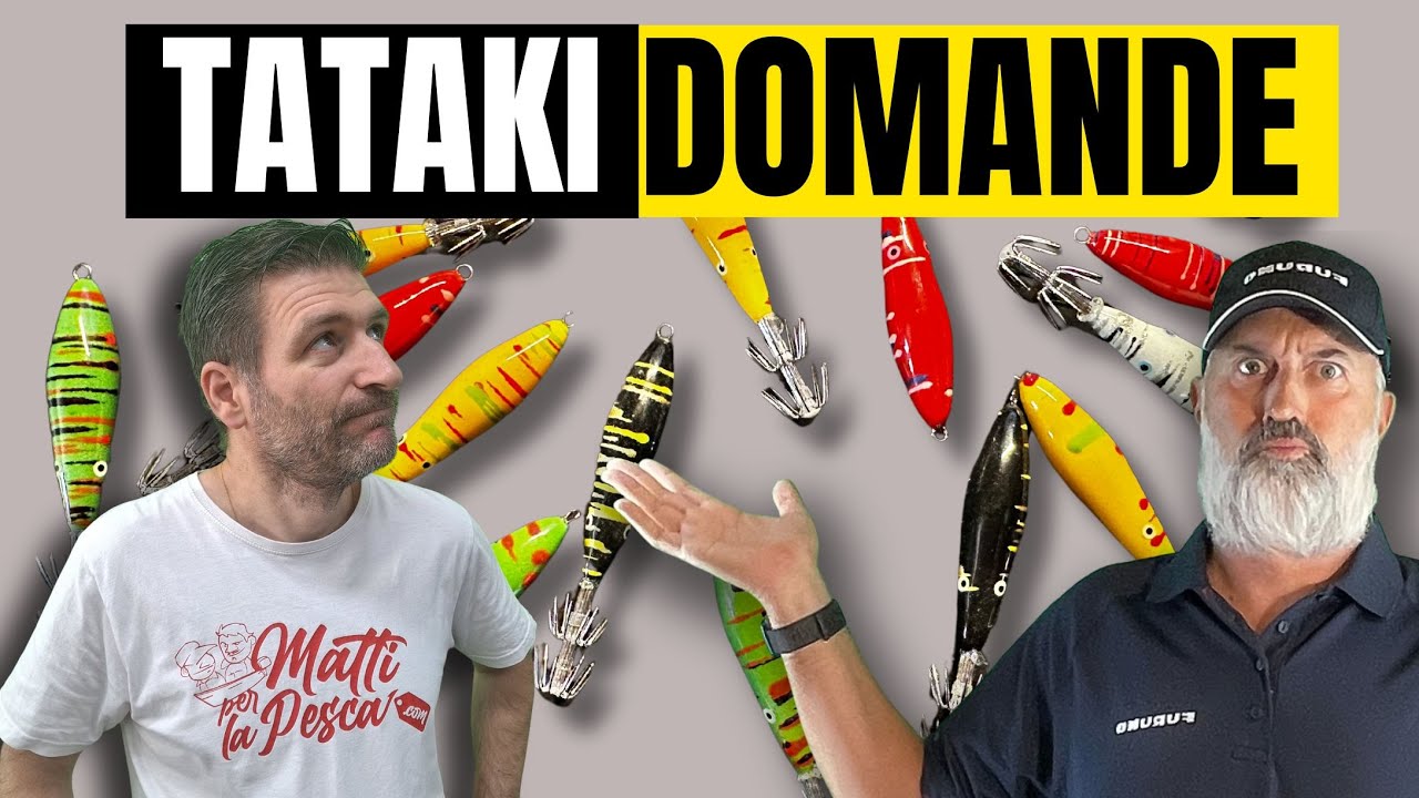 Pesca a tataki dei calamari Q&A