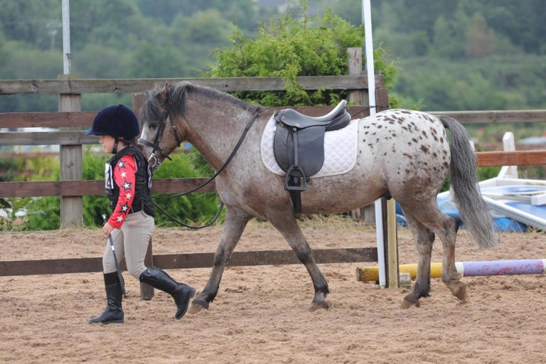 Horse Week: North Down Pony Club hosts spectacular Area 17 tetrathlon ...