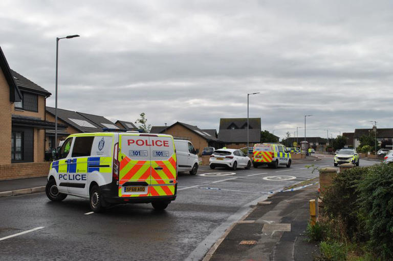 Man admits severely injuring police officer by hitting him with car in ...