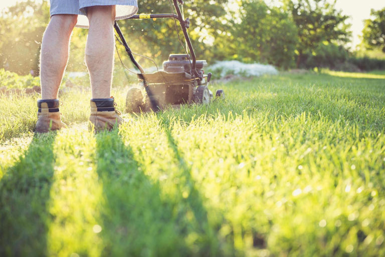 Revealed: North West residents' biggest lawn care struggles