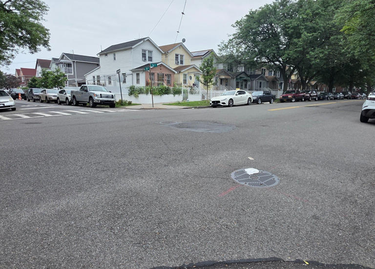 Man wanted for setting dog on fire on Queens street