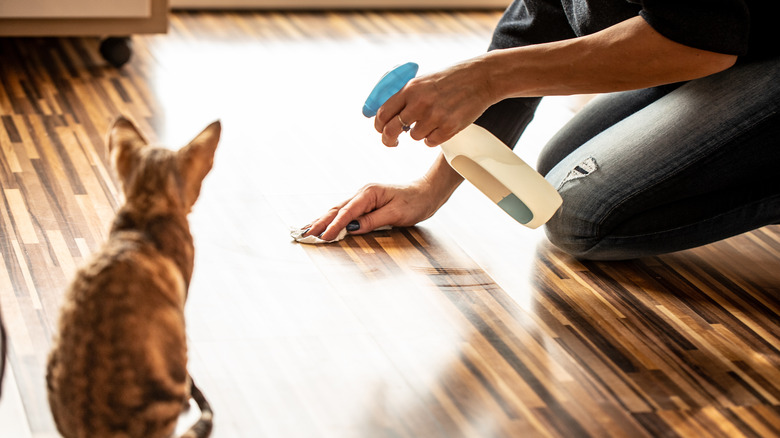 Pet Owners Should Rethink Using These Popular Cleaning Products Around ...