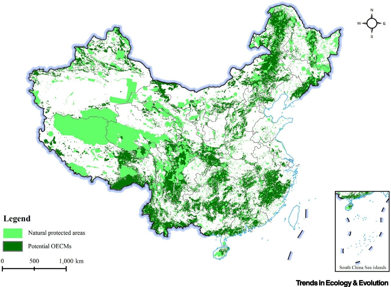 Study reveals China's ecological red lines offer blueprint for ...