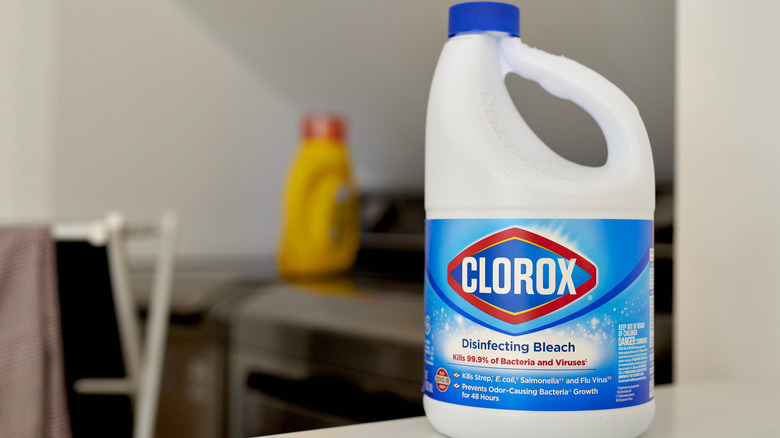 Pet Owners Should Rethink Using These Popular Cleaning Products Around ...
