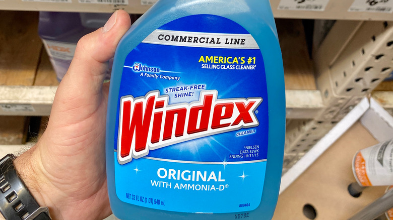 Pet Owners Should Rethink Using These Popular Cleaning Products Around ...