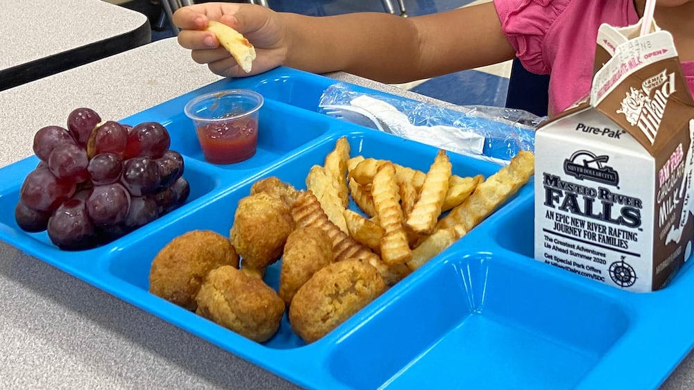 Guidelines for free and reduced school meals have been released