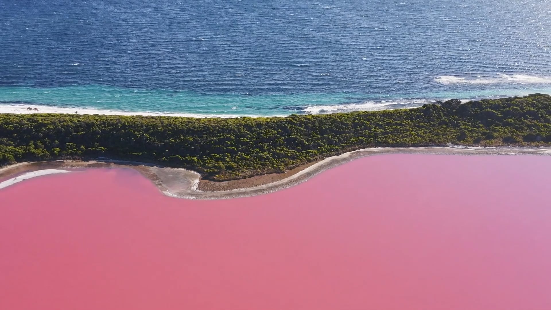 Drone Views of Pink Lake Hillier, Western Australia's Coastal Gem