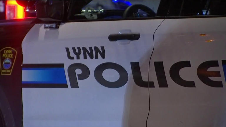 Dog attack in Lynn sends 2, including a 5-year-old, to the hospital
