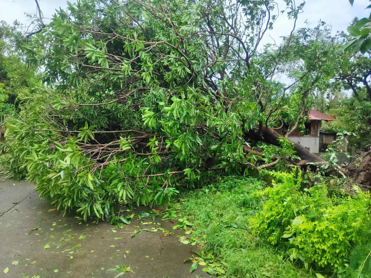 Bolinao declares state of calamity