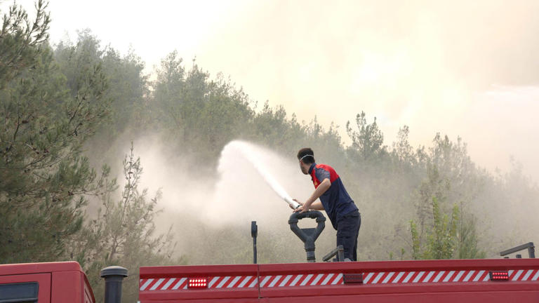 At least 17 killed in Turkey wildfires as thousands flee their homes