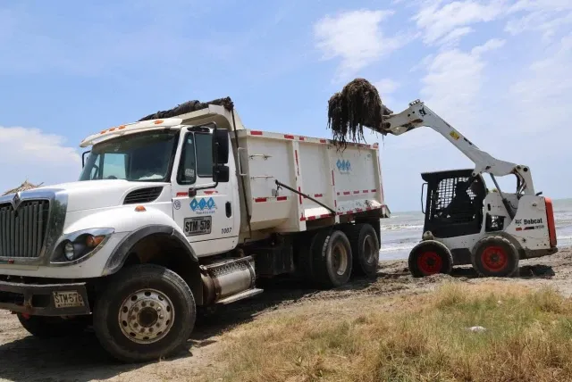 Atlántico | Puerto Colombia recolecta más de 30 toneladas de tarulla en ...