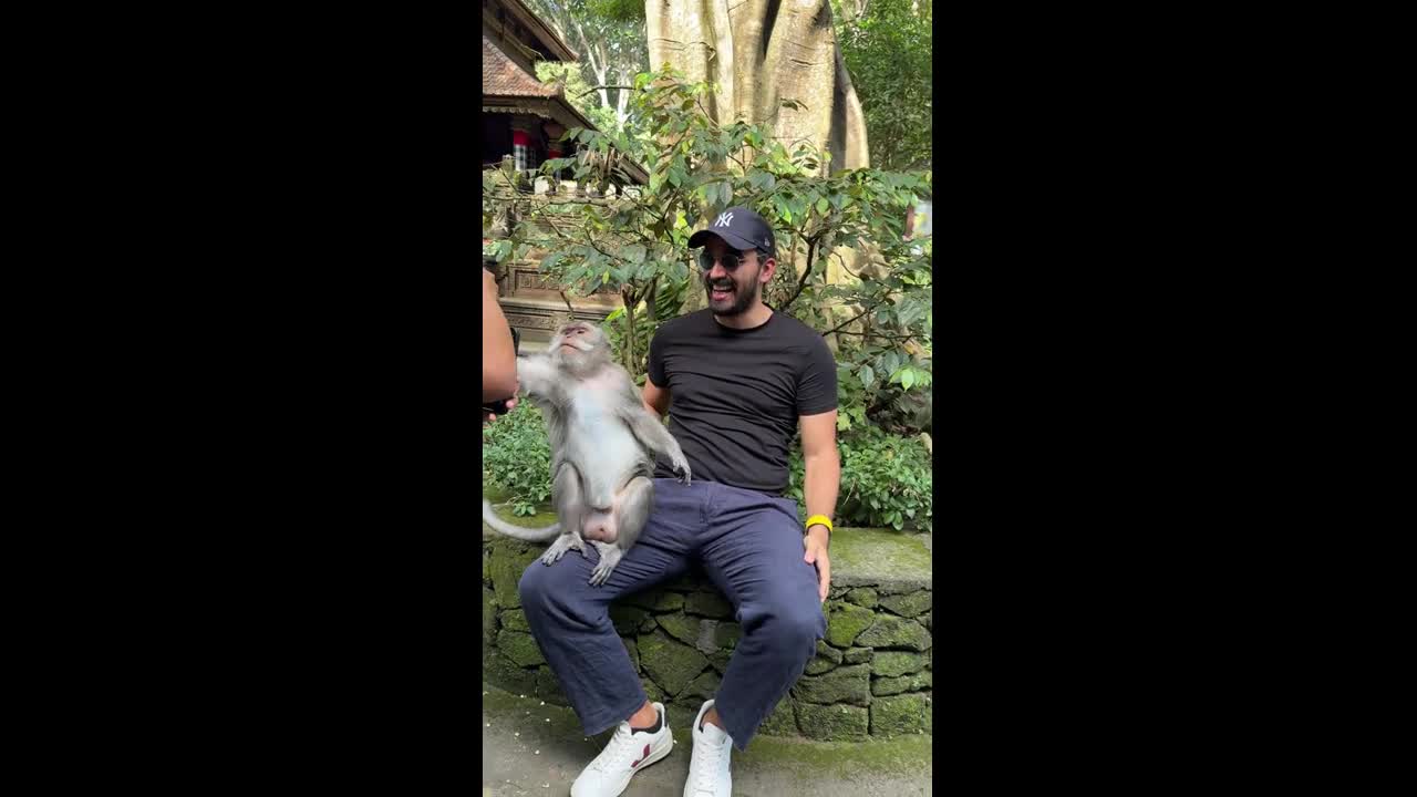 Monkey gets angry during photoshoot at Monkey Forest Sanctuary in Bali ...